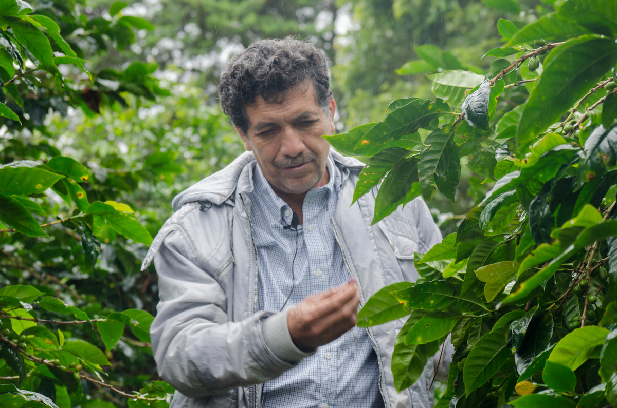 Producer Deep Dive: Don Byron Corrales – The Roasters Pack