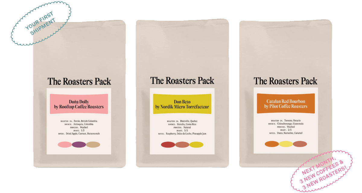 3x16oz - The Roasters Pack - Fruity & Complex (Light Roasts) - 6 Issue